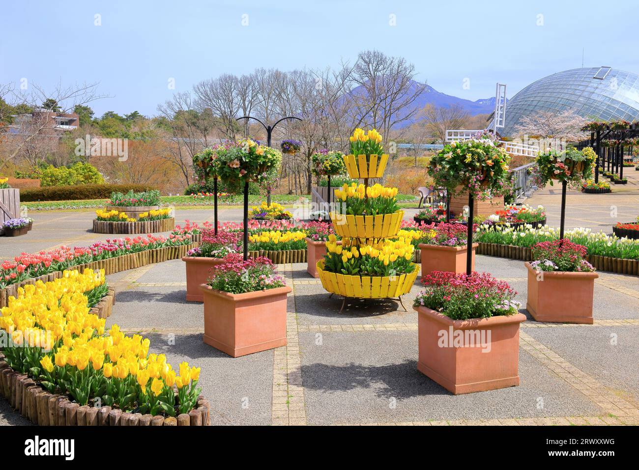 Tottori hanakairo hi-res stock photography and images - Alamy