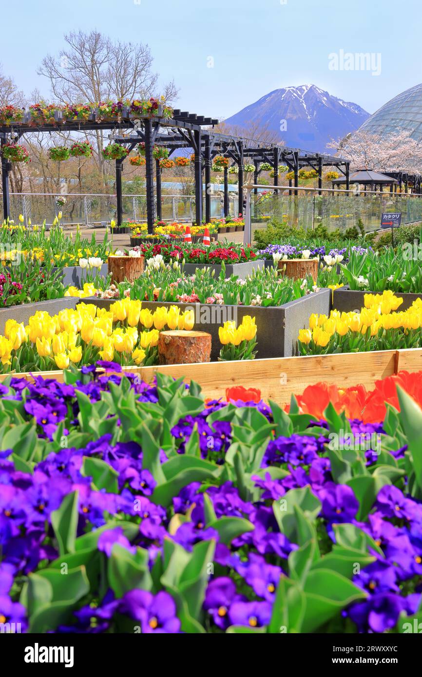 Greenhouse flower hi-res stock photography and images - Alamy