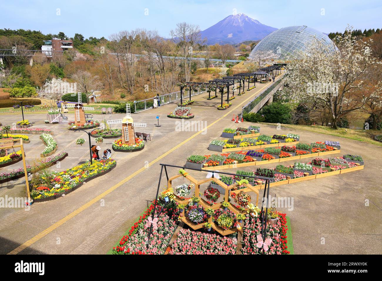 Greenhouse flower hi-res stock photography and images - Alamy