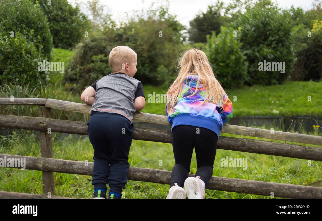 Fence in nature hi-res stock photography and images - Alamy
