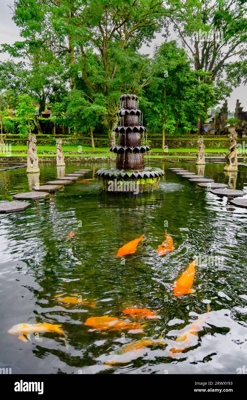 Fish in the pond Water royal palace Tirta Gangga, Ababi, Abang ...