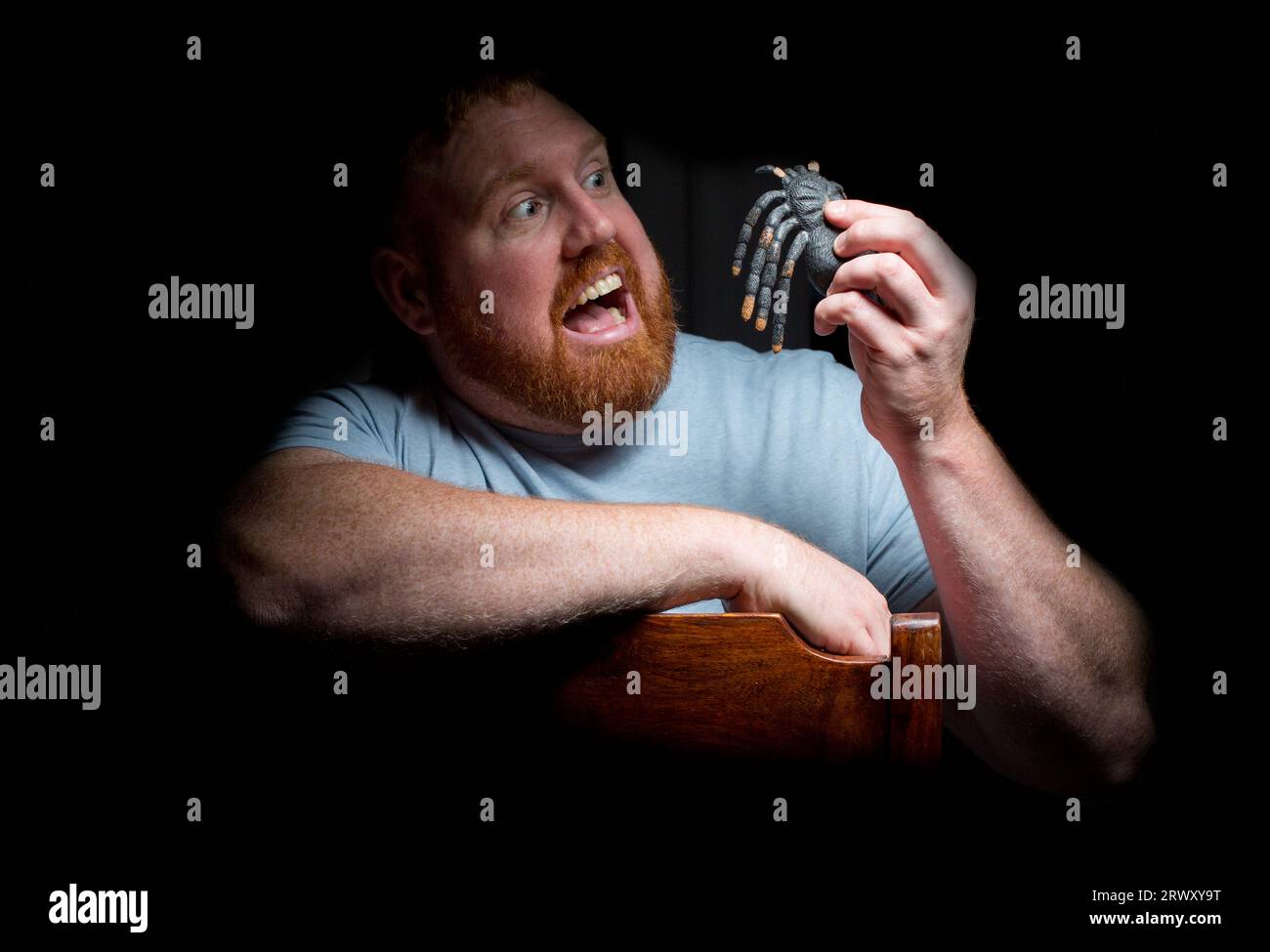 A man holding a fake spider and pretending to be scared Stock Photo - Alamy