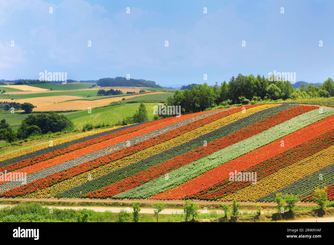 Shikisai no oka hokkaido hi-res stock photography and images - Alamy