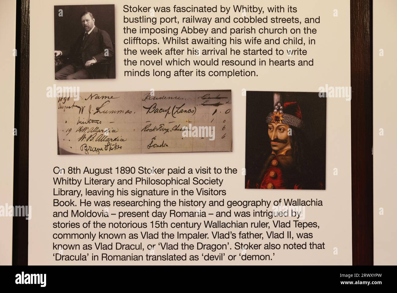 Whitby Museum, an independent Victorian museum full of fascinating ...