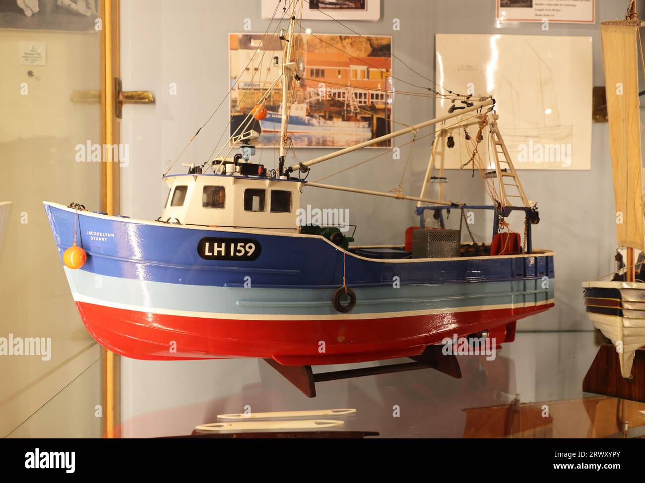 Whitby museum fossils hi-res stock photography and images - Alamy