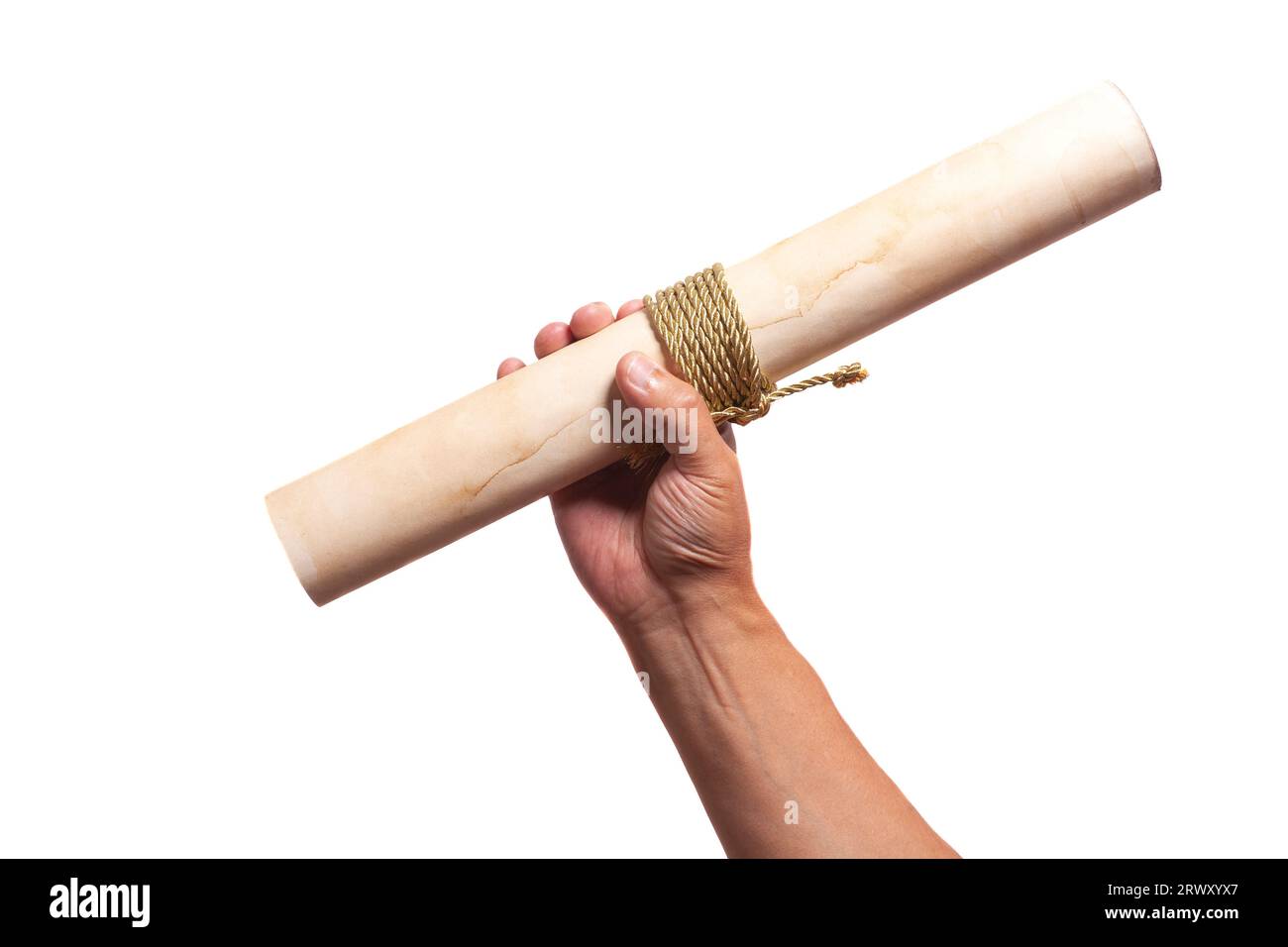 scroll of antique paper tied with a golden rope in hand Stock Photo - Alamy