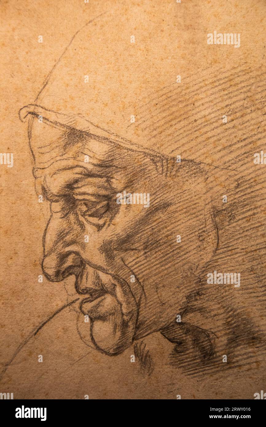 Turin, Italy - April 2023: Michelangelo Buonarroti drawing, Study for ...