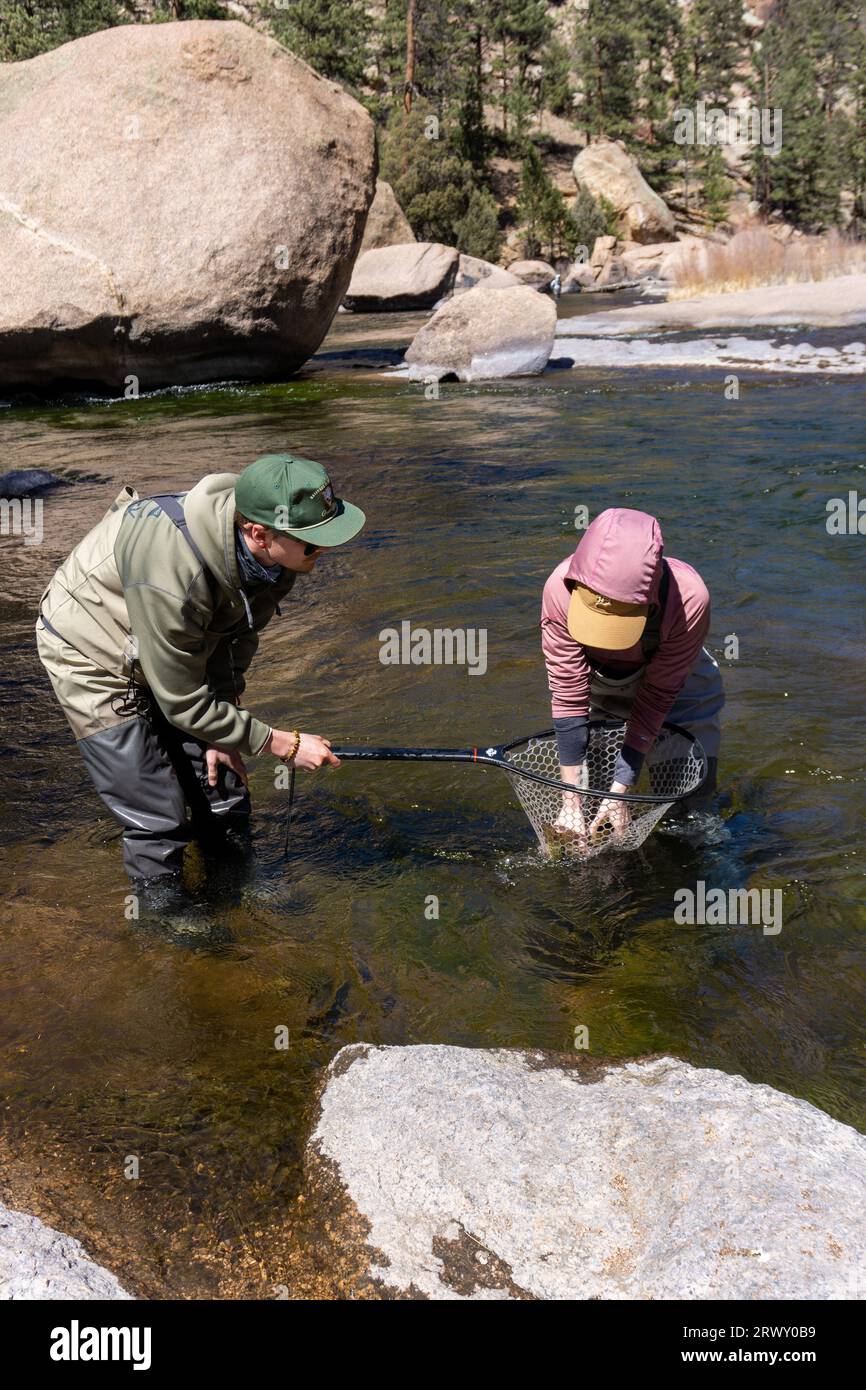 Woman catching fish as husband holds the net Stock Photo - Alamy