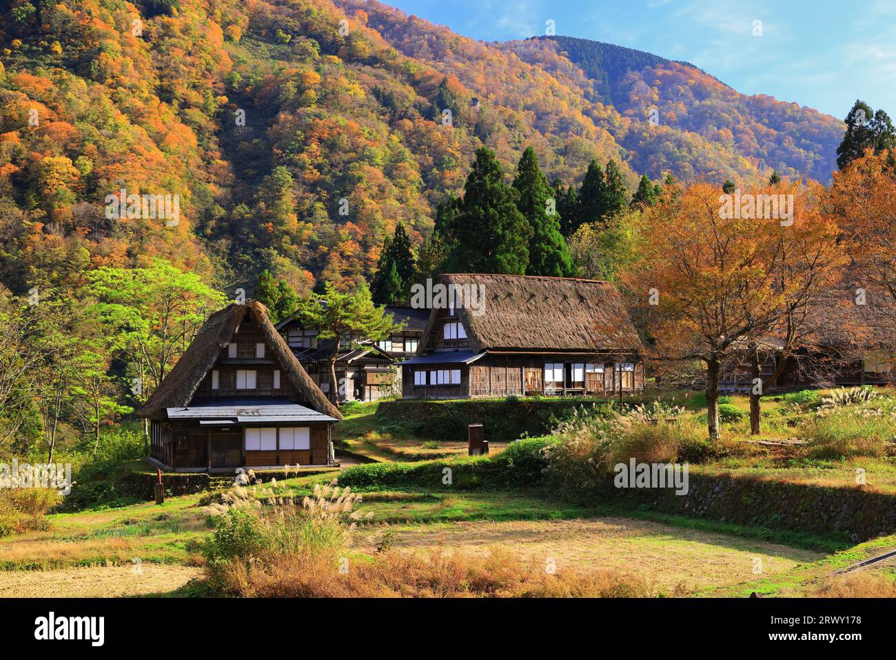 Gokayama Aikura Gassho-Zukuri Village in Autumn Leaves, Toyama ...