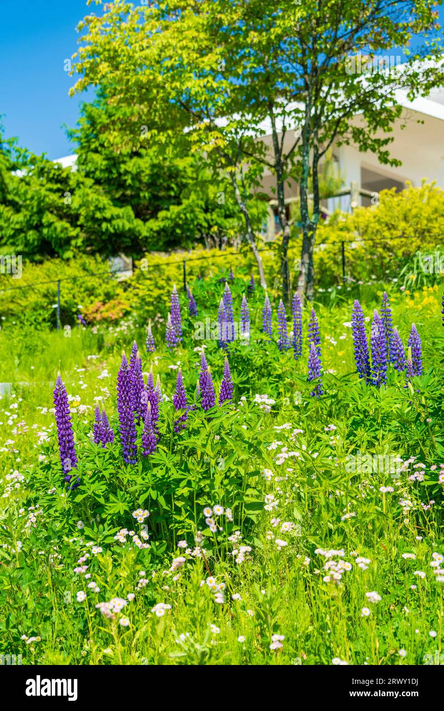 Station station station hi-res stock photography and images - Alamy