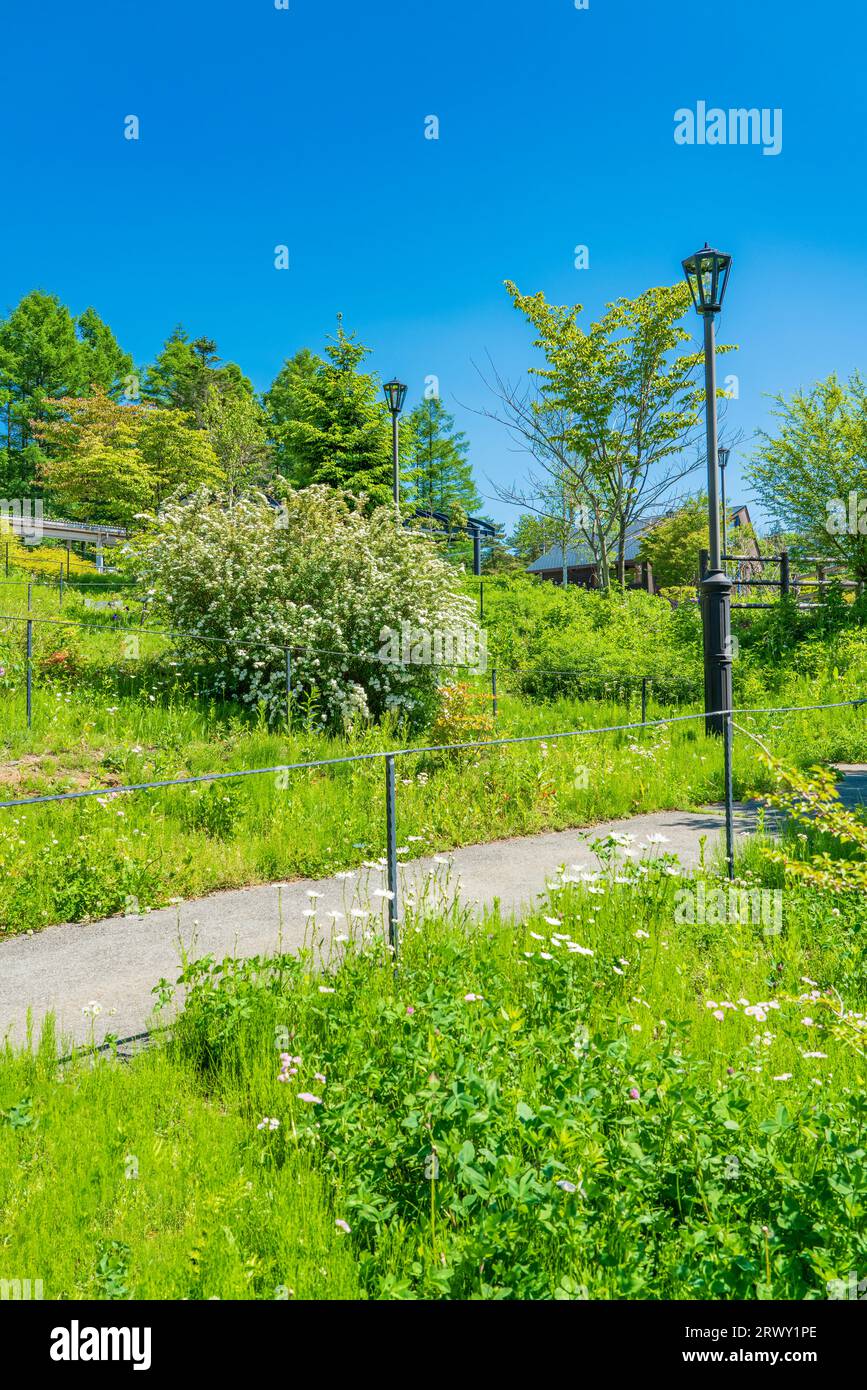 Kiyosato Station on the plateau Stock Photo - Alamy