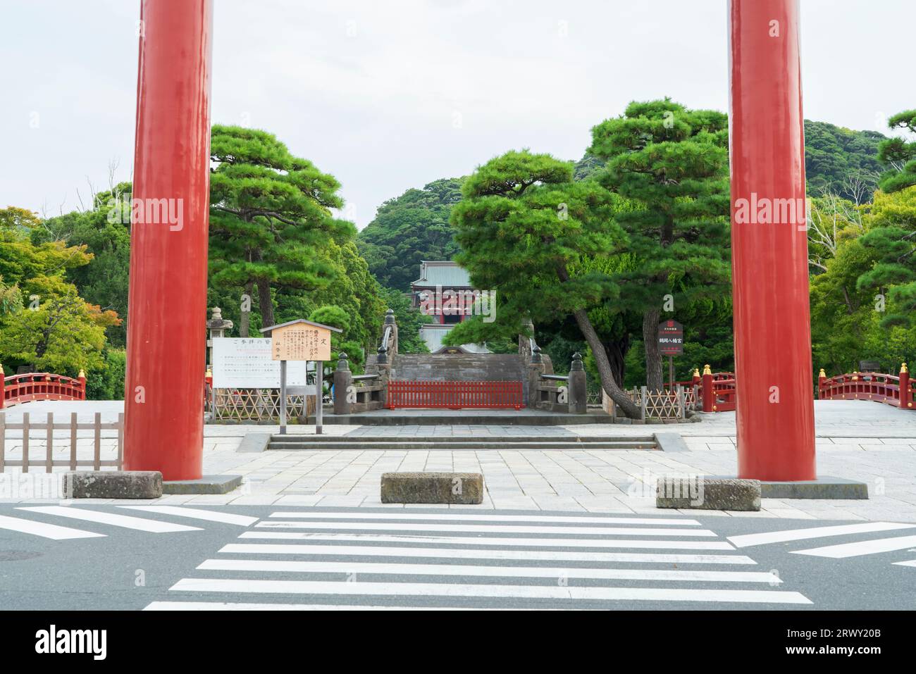 Tsurugaoka Hachimangu Shrine Stock Photo - Alamy