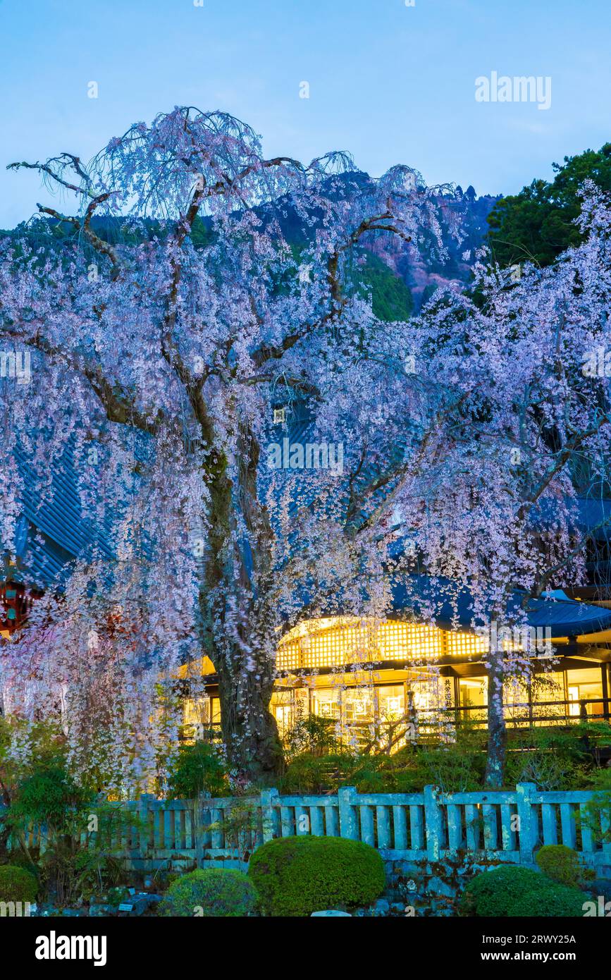 Kuon ji minobu hi-res stock photography and images - Alamy