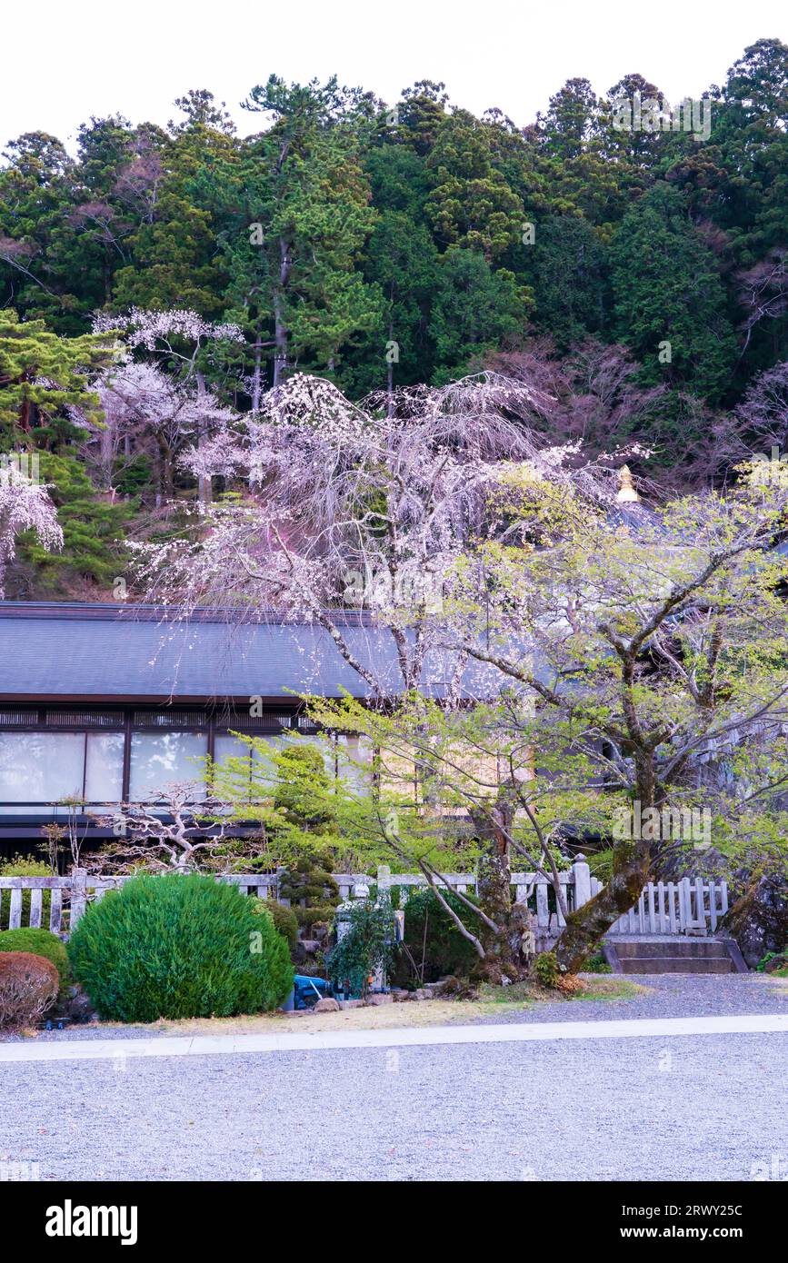 Kuon ji minobu hi-res stock photography and images - Alamy