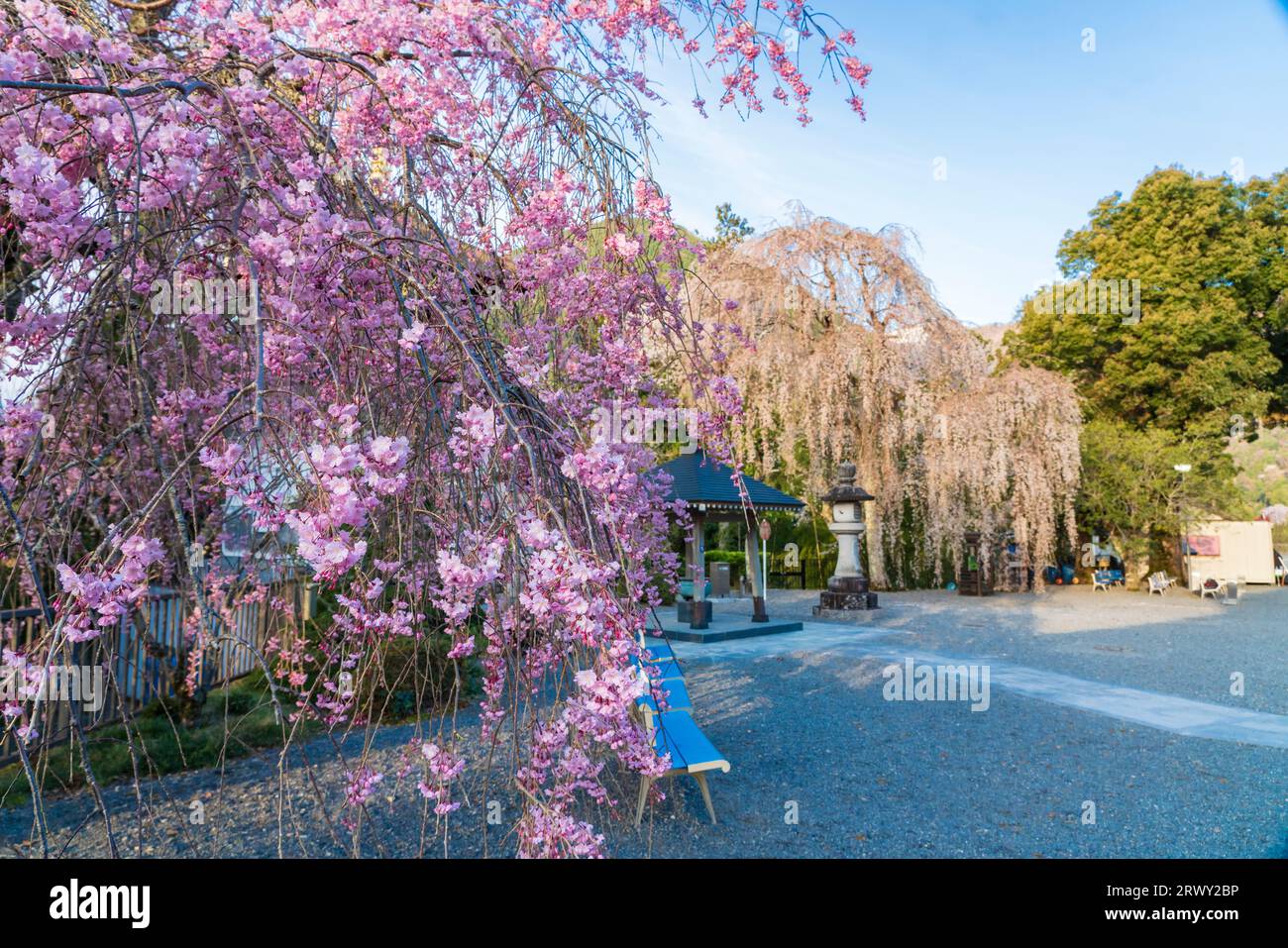 Kuon ji minobu hi-res stock photography and images - Alamy