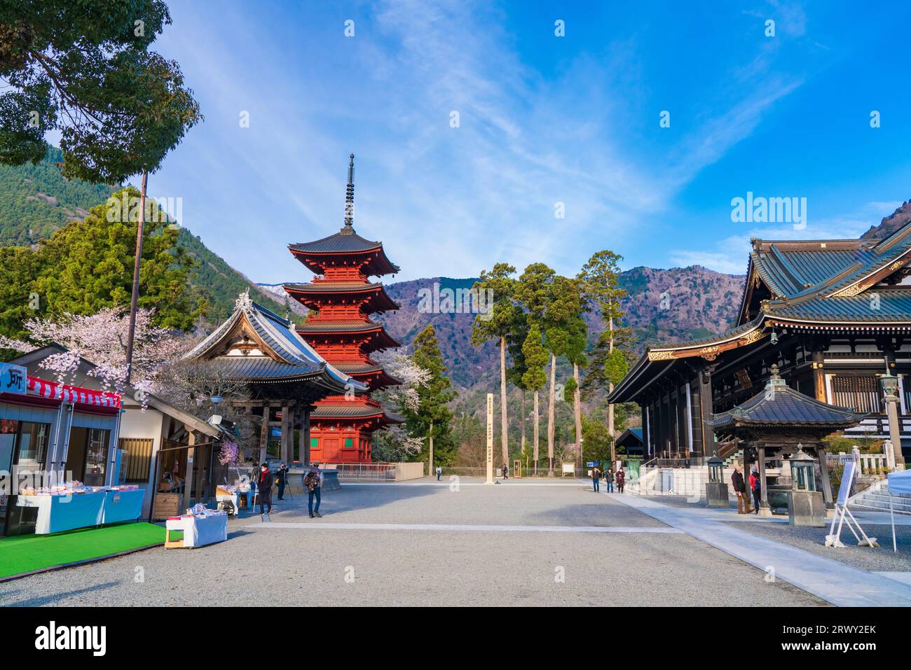 Minobu-san Kuon-ji Temple with weeping cherry blossoms Stock Photo - Alamy