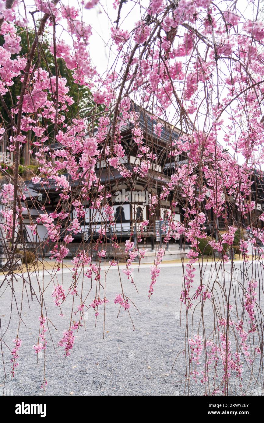 Kuon ji minobu hi-res stock photography and images - Alamy