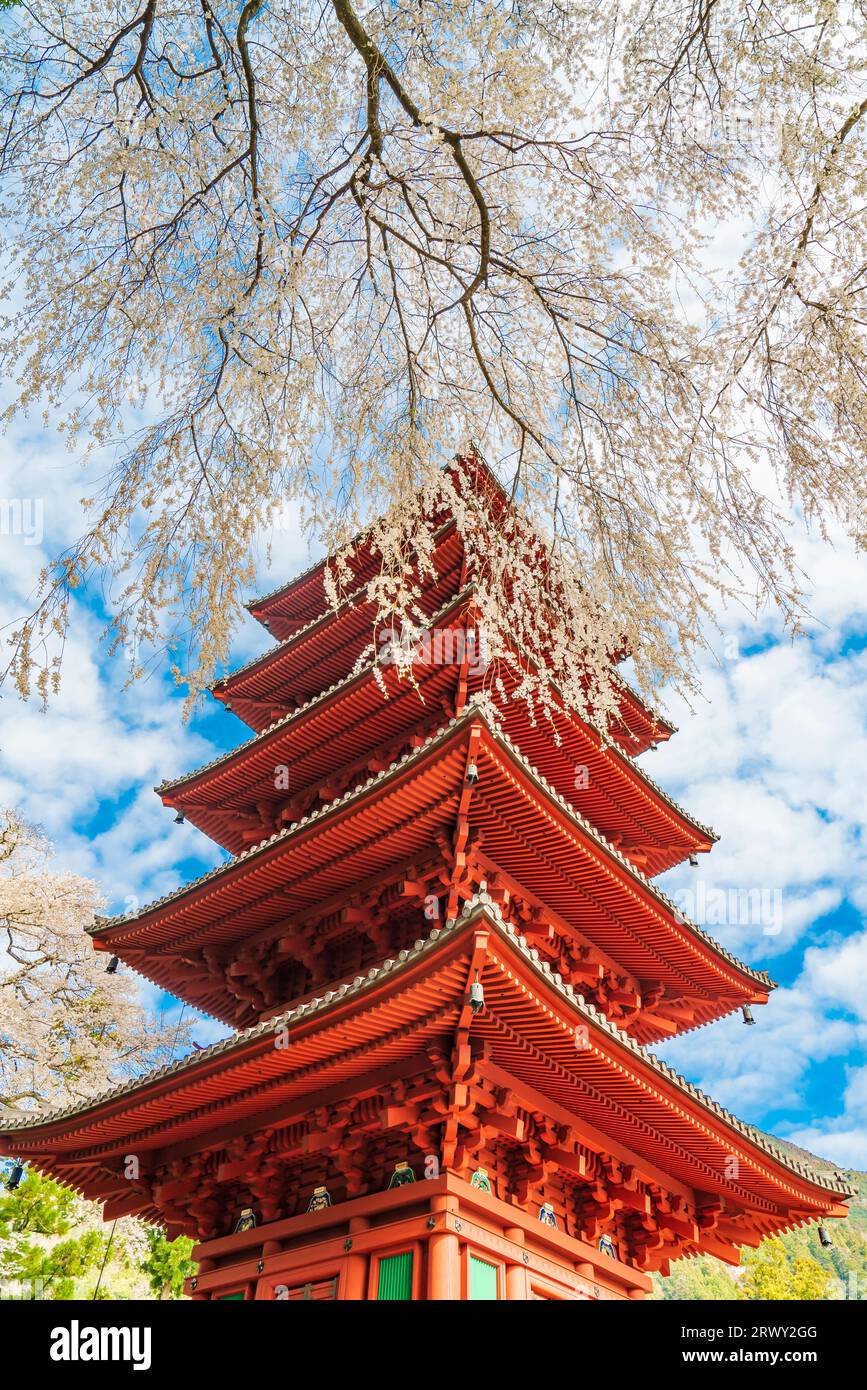 Kuon ji minobu hi-res stock photography and images - Alamy