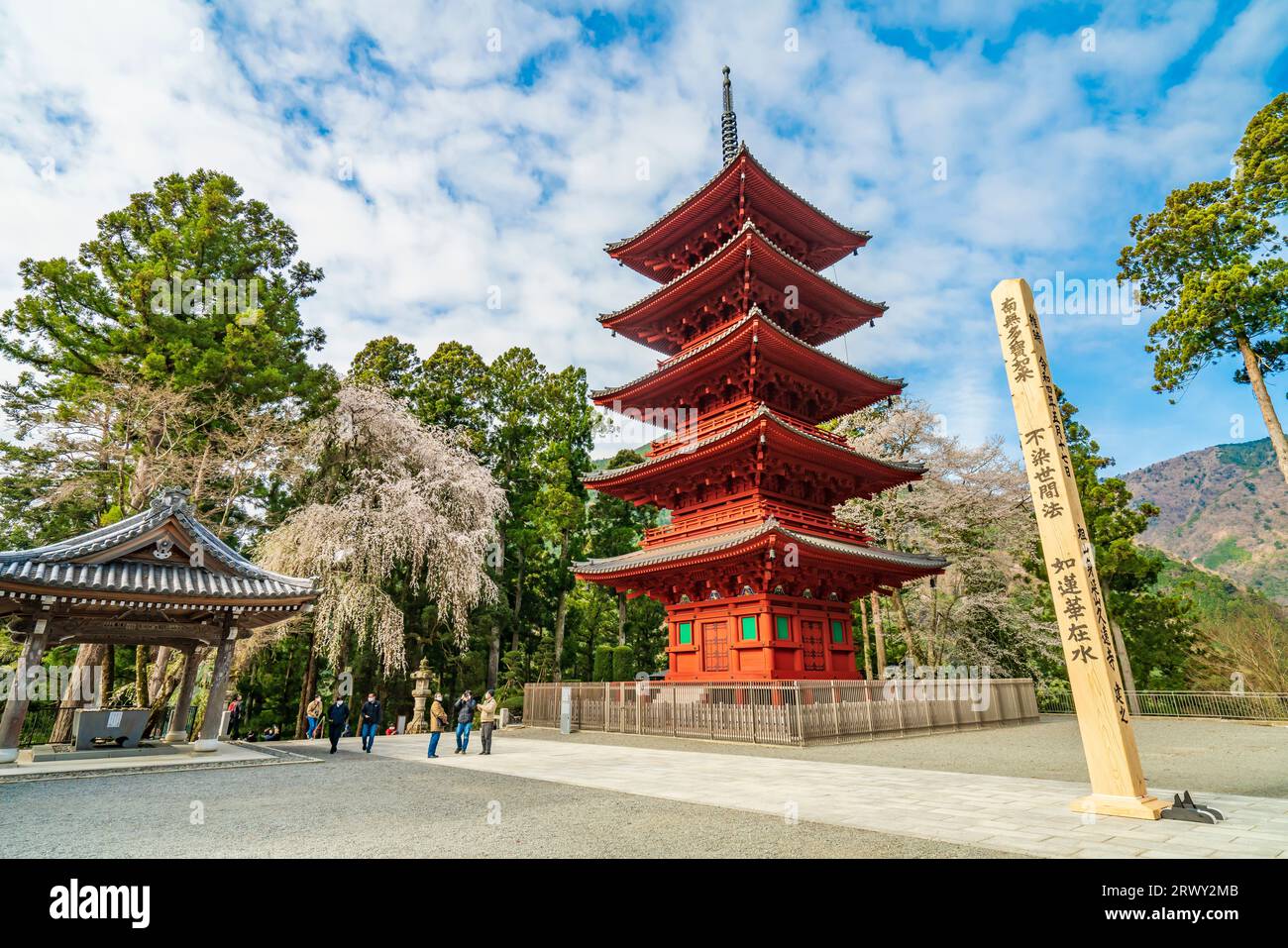 Minobu-san Kuon-ji Temple with weeping cherry blossoms Stock Photo - Alamy
