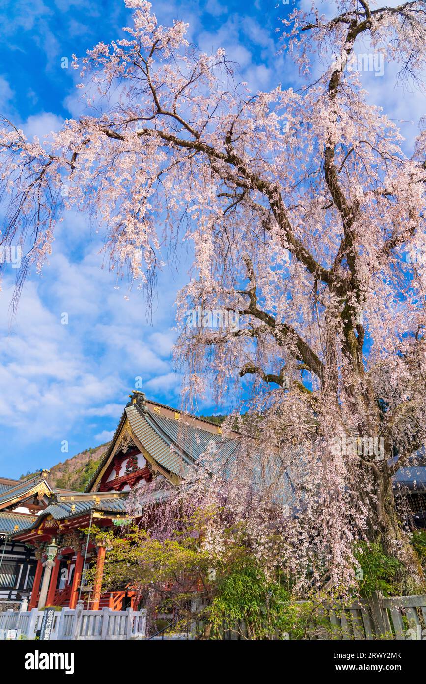 Kuon ji minobu hi-res stock photography and images - Alamy