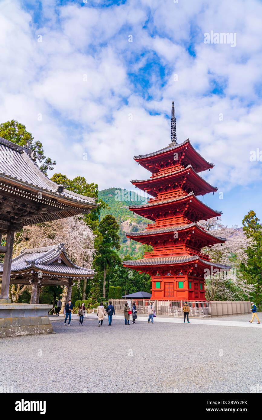 Minobu-san Kuon-ji Temple with weeping cherry blossoms Stock Photo - Alamy