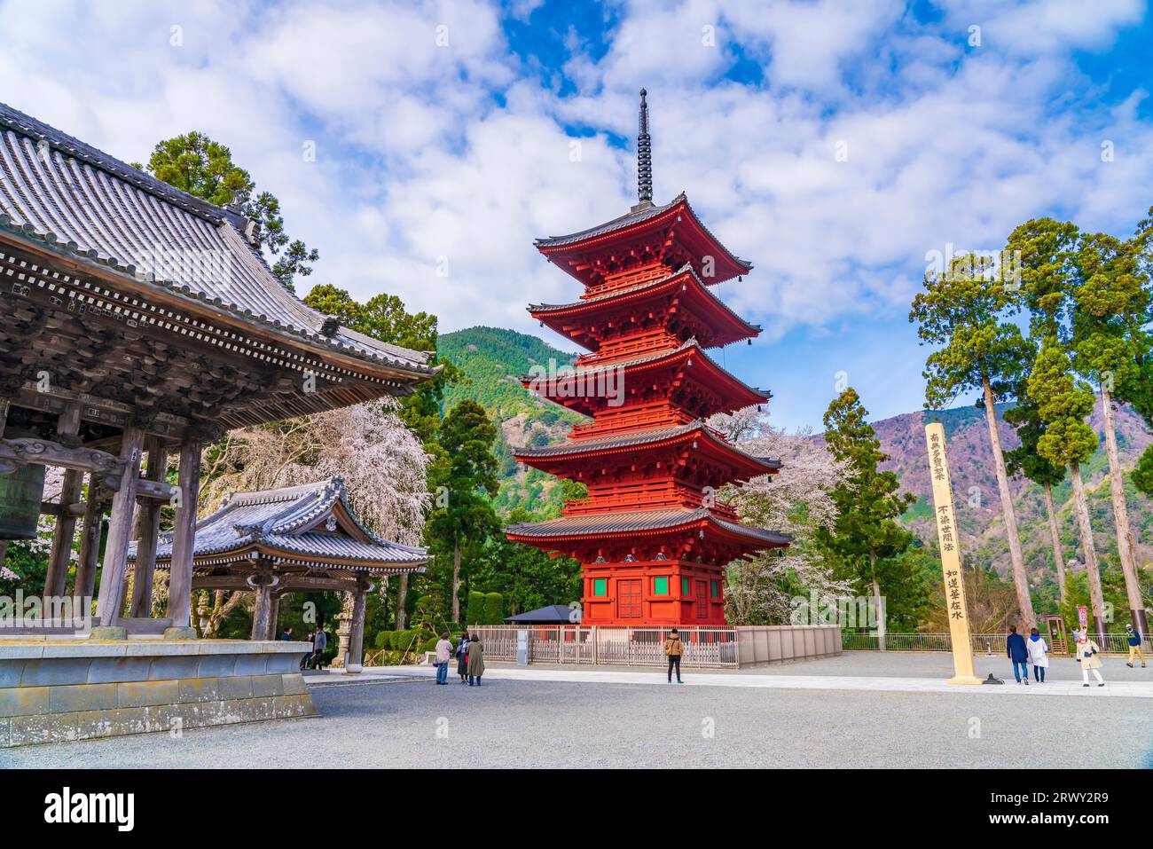 Minobu-san Kuon-ji Temple with weeping cherry blossoms Stock Photo - Alamy