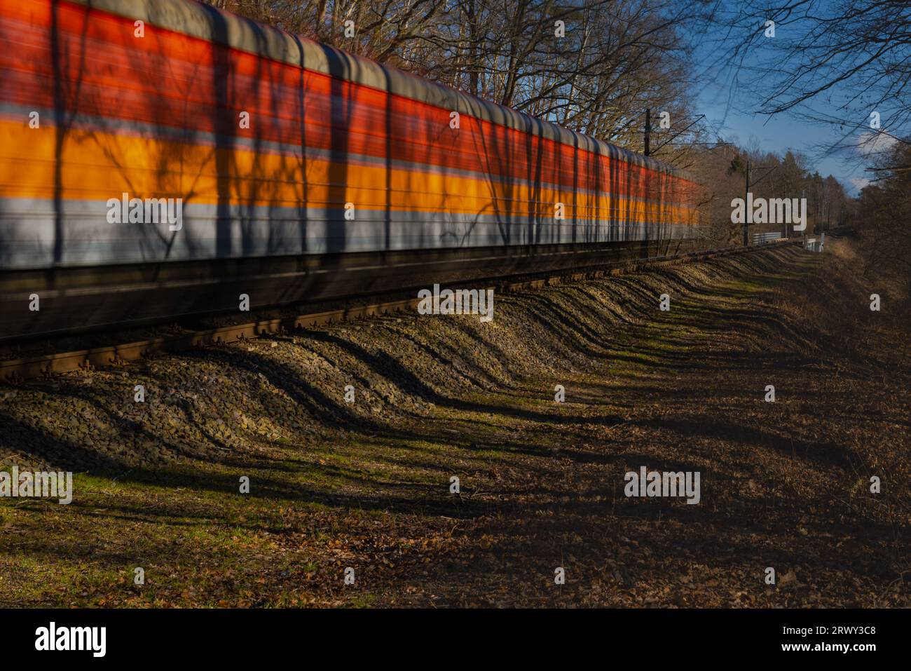 Moving fast through the forest hi-res stock photography and images - Alamy