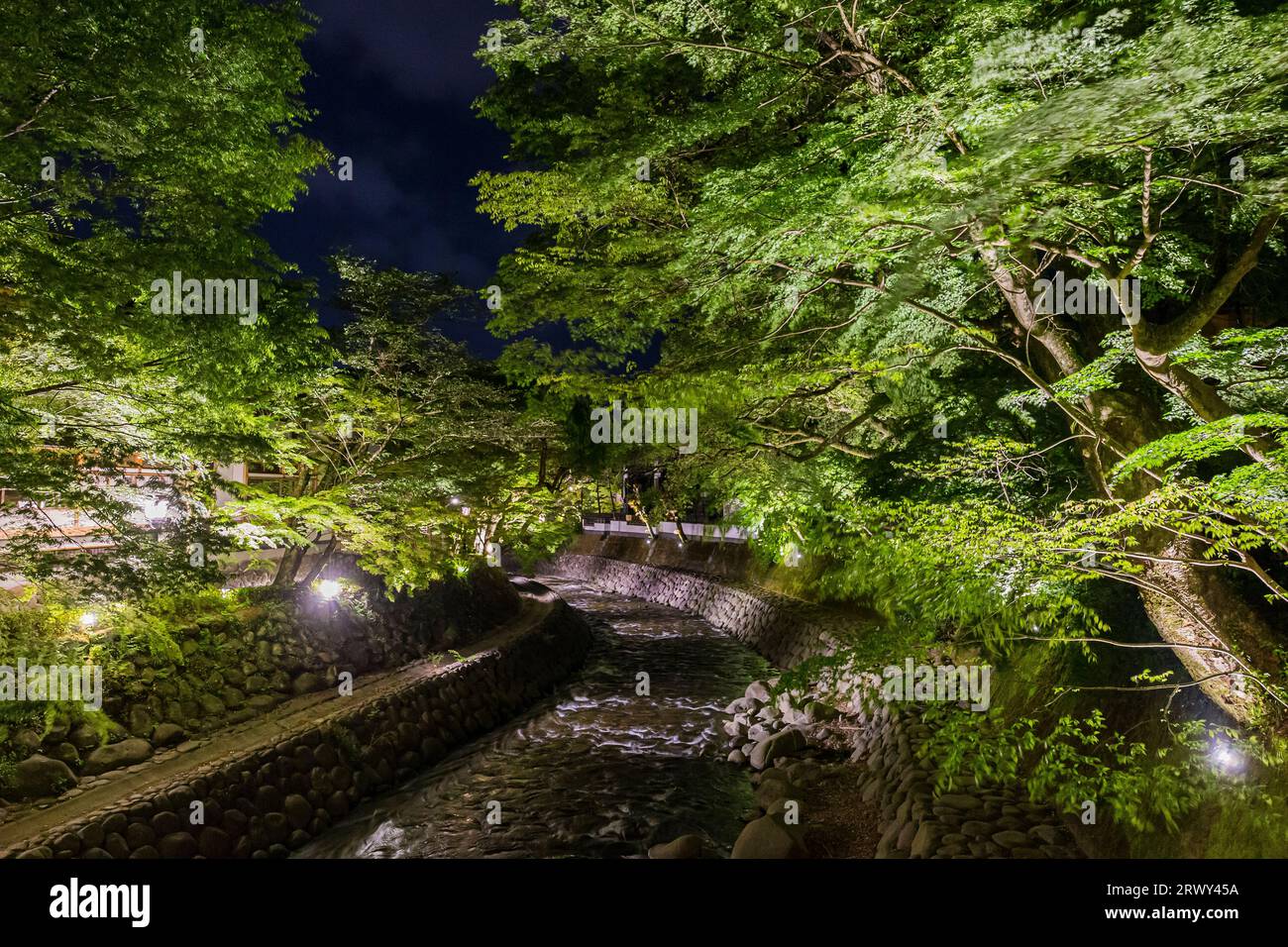Maple bridge and bamboo grove path seen from Katsura-bashi bridge in ...