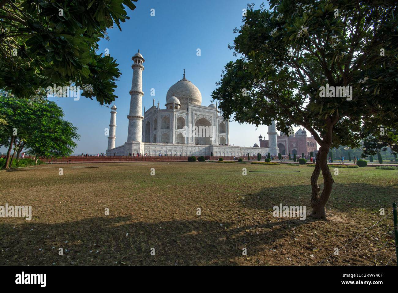India with love hi-res stock photography and images - Alamy