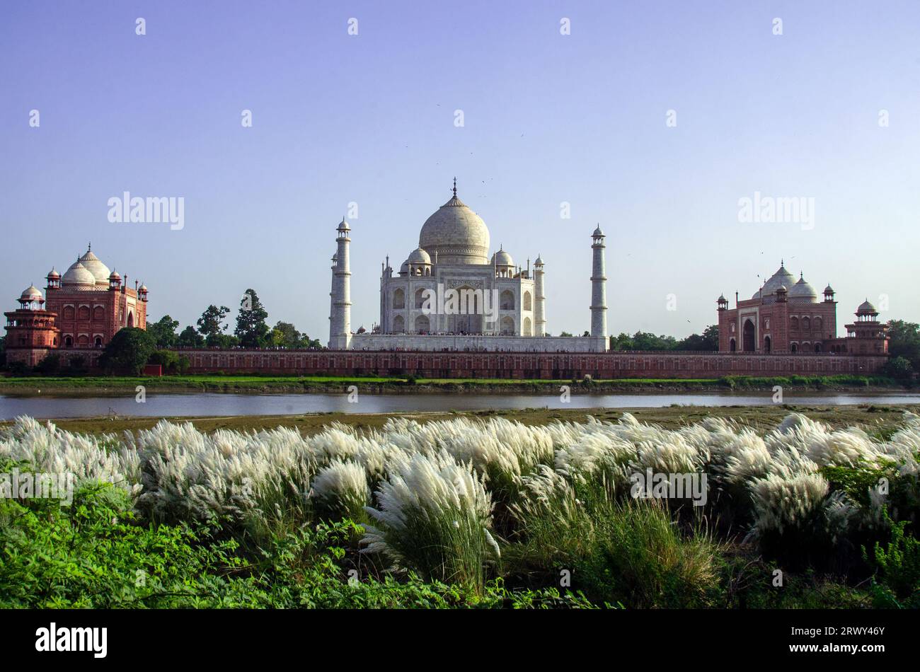taj mahal the symbol of love Stock Photo - Alamy