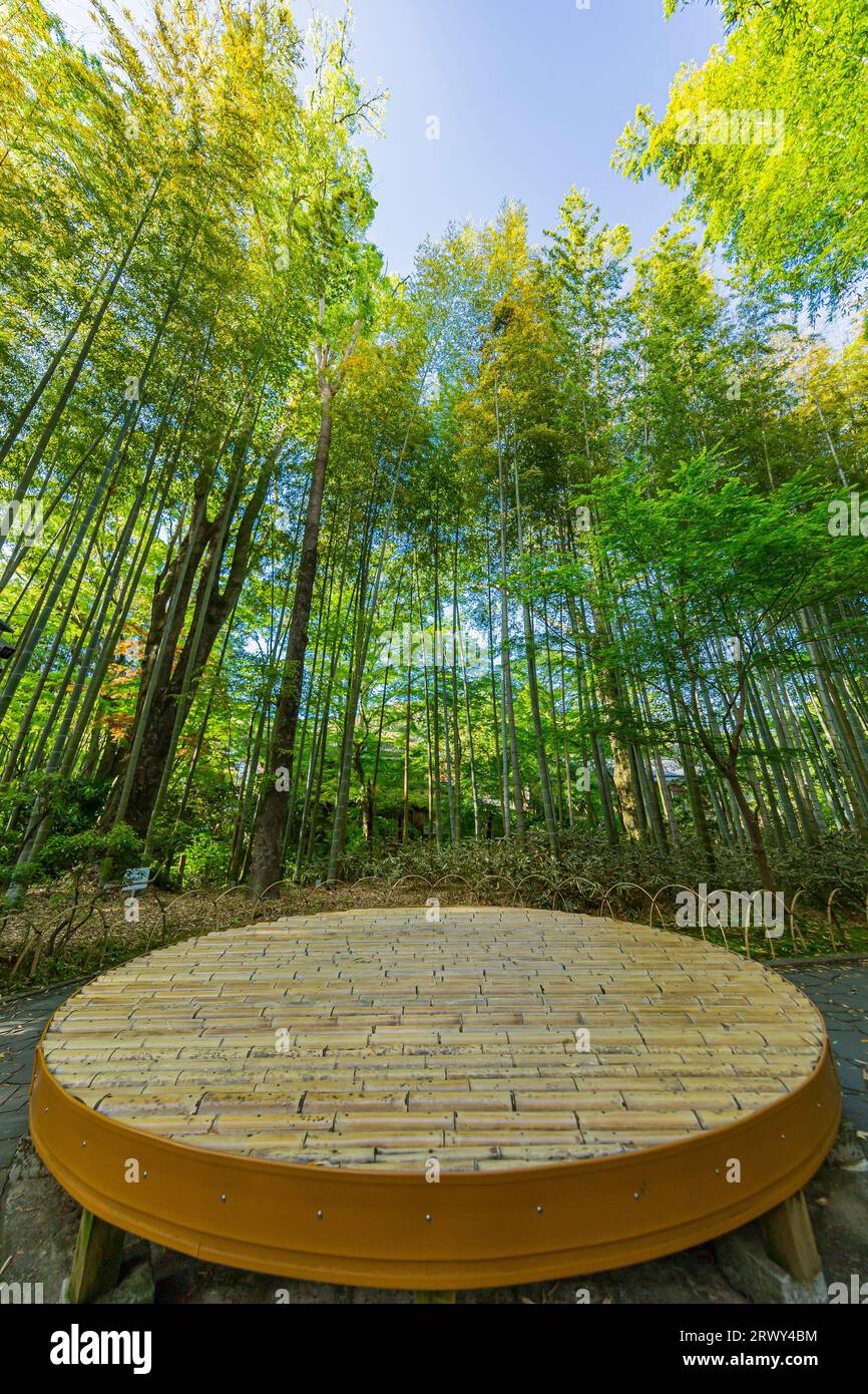 Shuzenji Onsen A circular bench placed in the central plaza and a ...