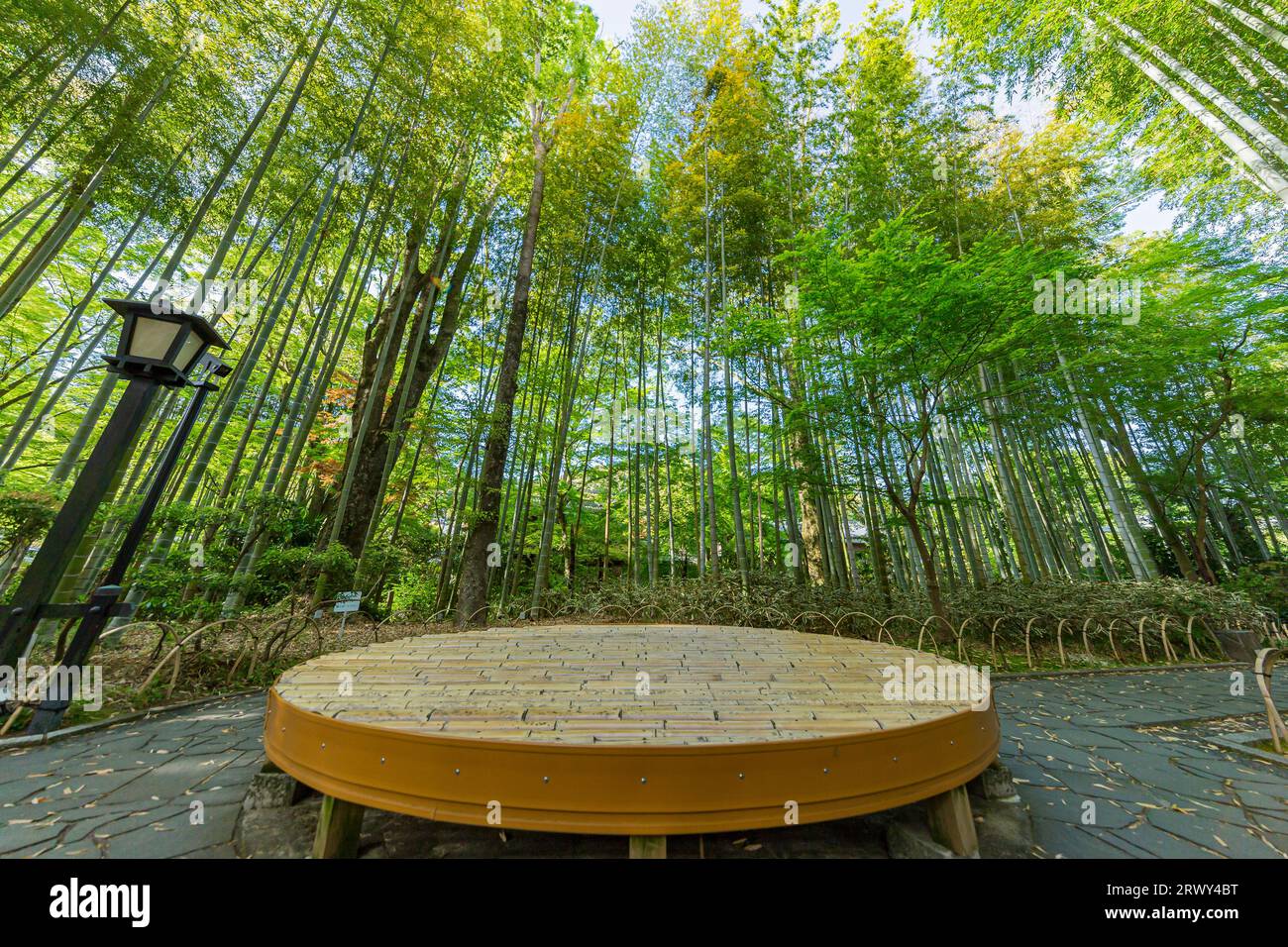 Shuzenji Onsen A circular bench placed in the central plaza and a ...