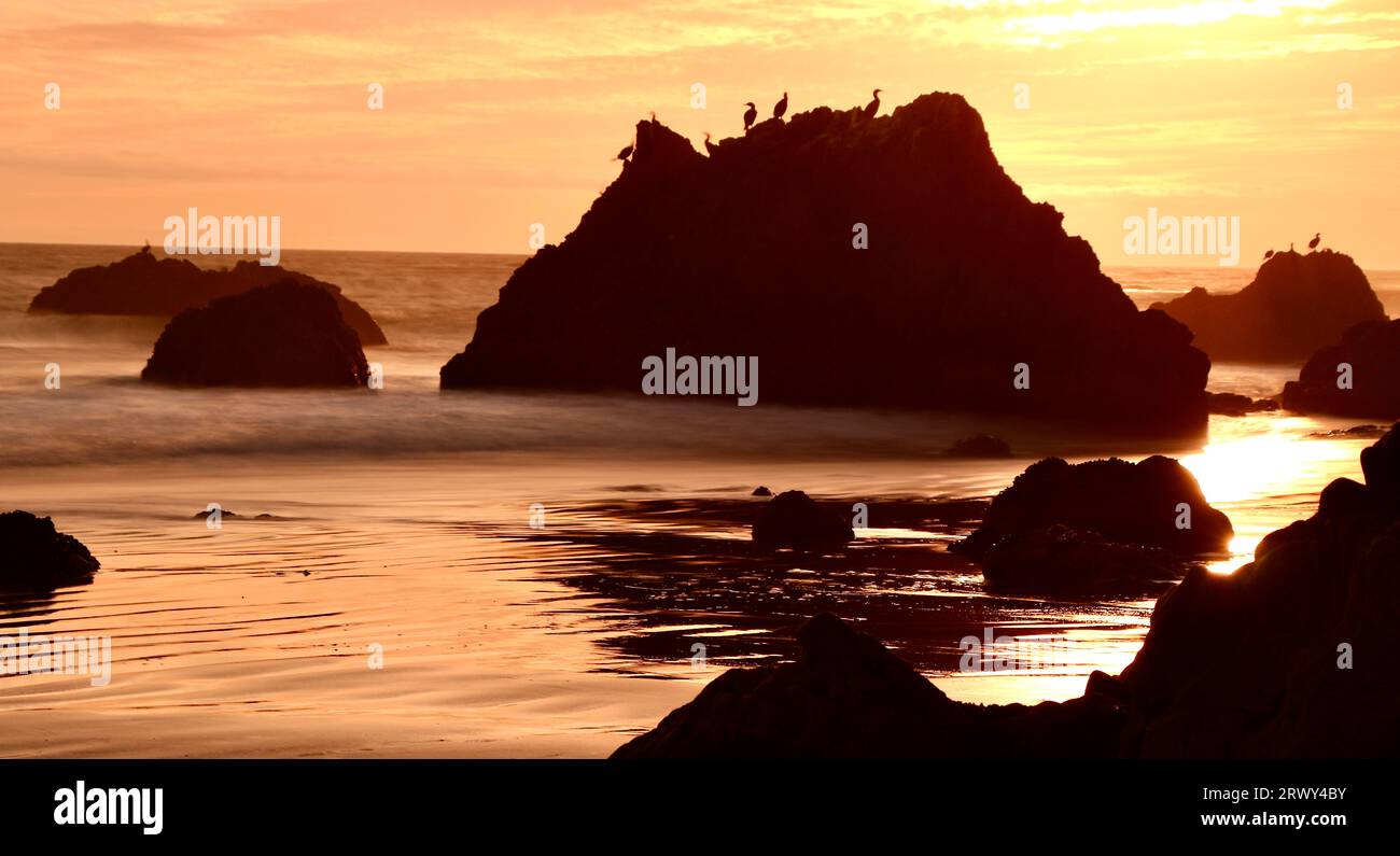 El matador hi-res stock photography and images - Alamy