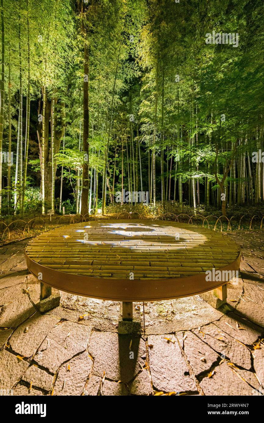 Shuzenji Onsen A circular bench on which a path through a bamboo grove ...