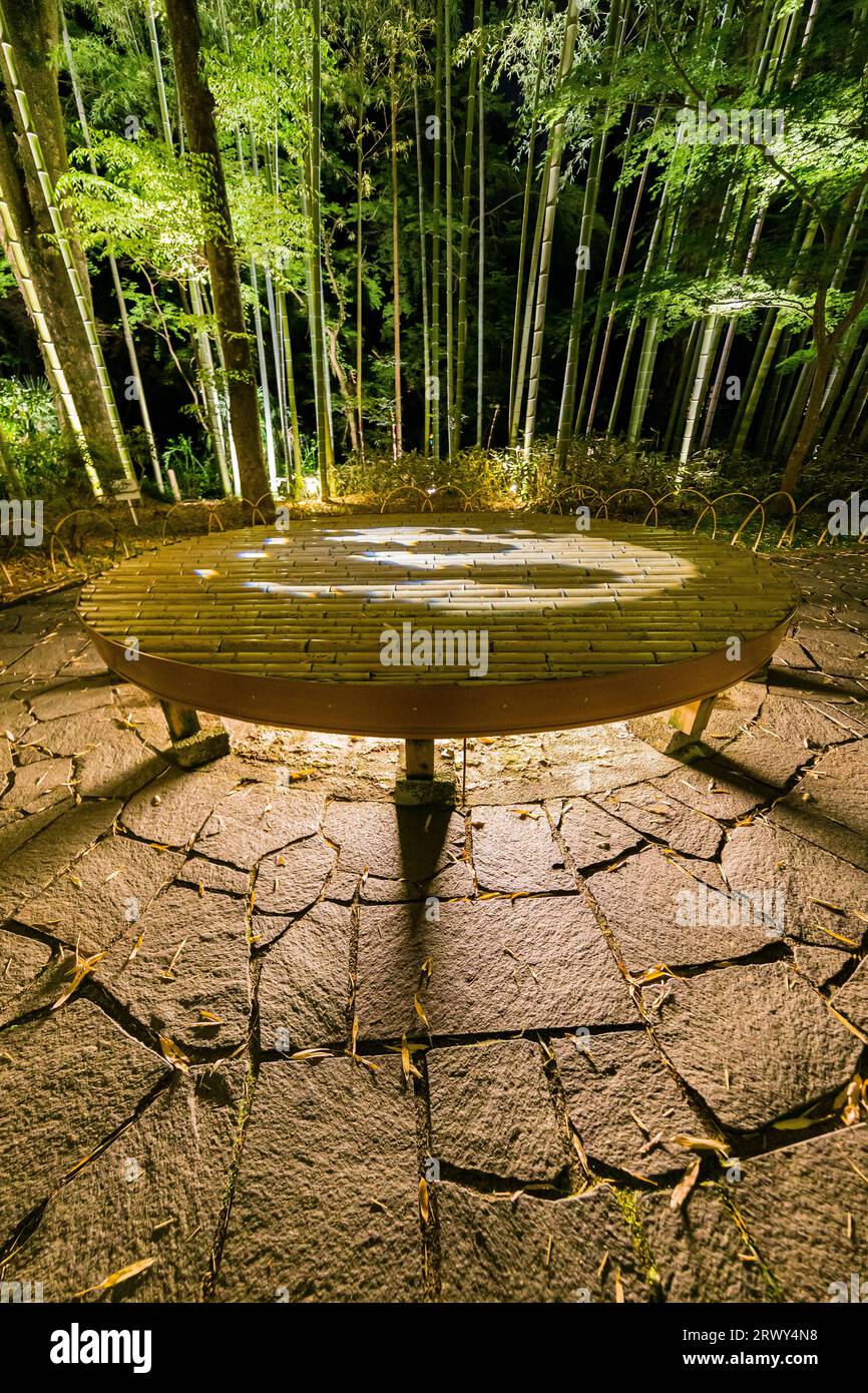 Shuzenji Onsen A circular bench on which a path through a bamboo grove ...