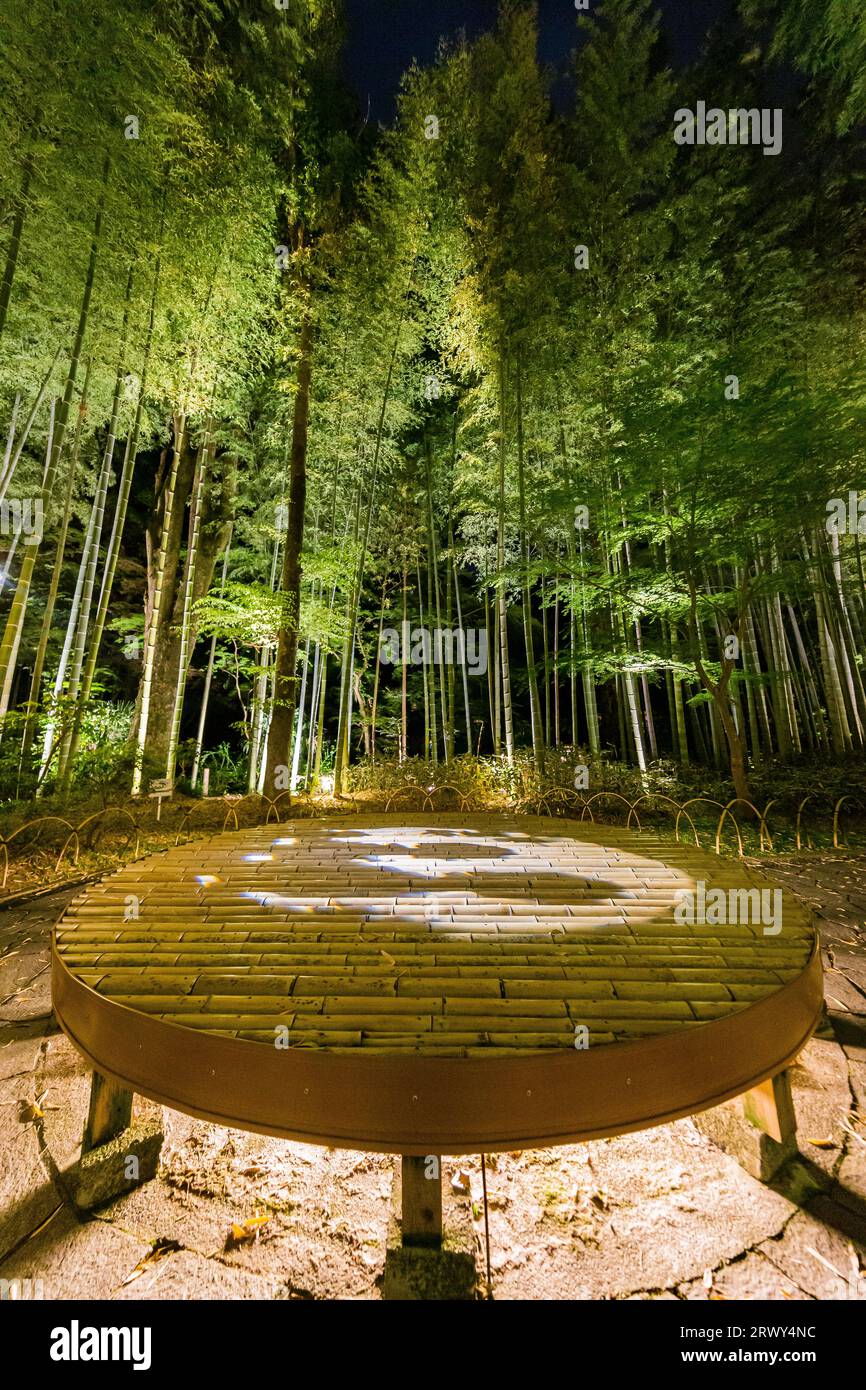 Shuzenji Onsen A circular bench on which a path through a bamboo grove ...