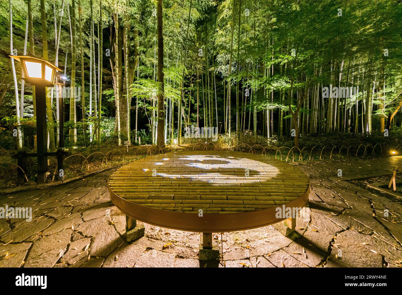 Shuzenji Onsen A circular bench on which a path through a bamboo grove ...