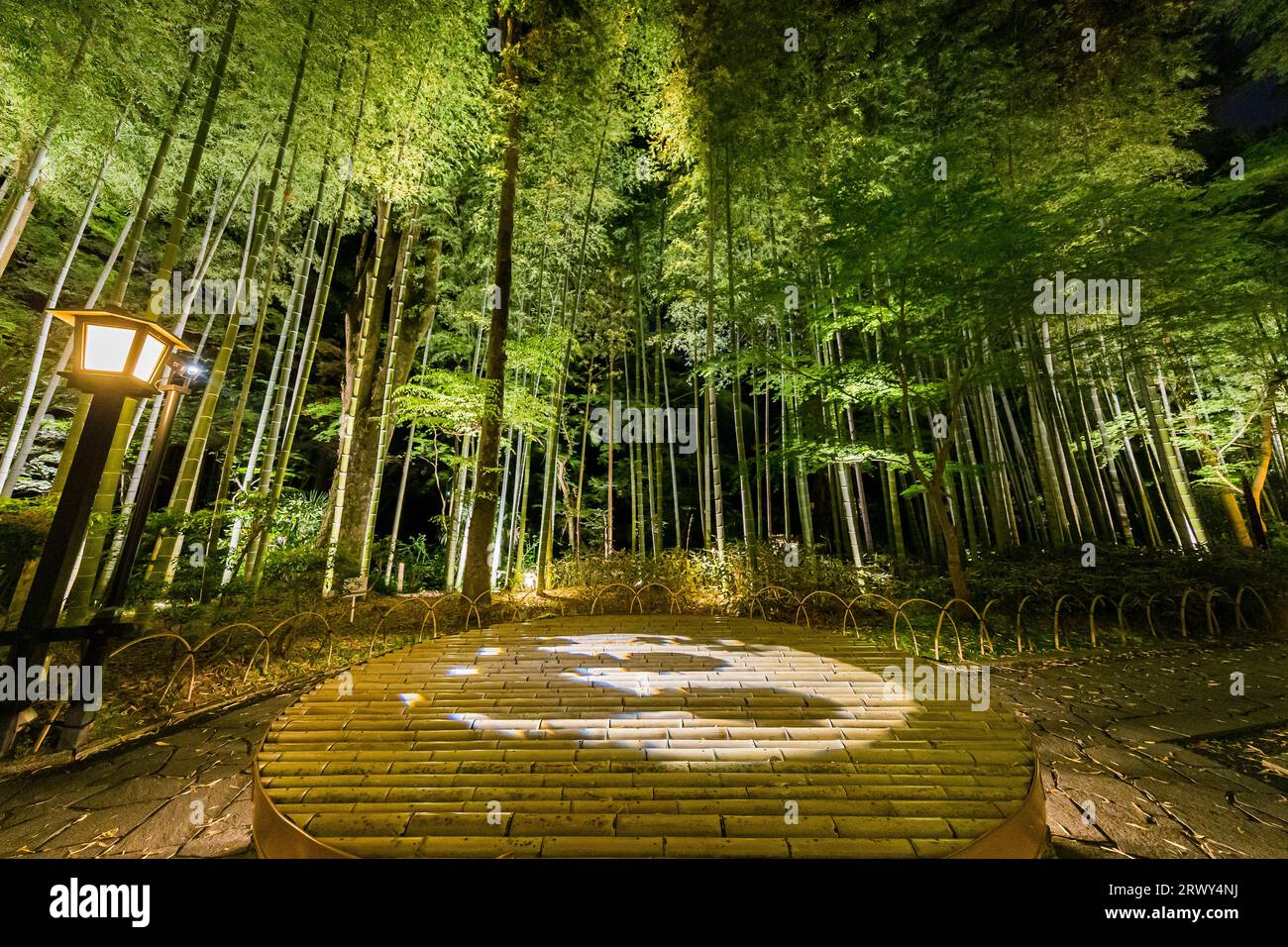 Shuzenji Onsen A circular bench on which a path through a bamboo grove ...