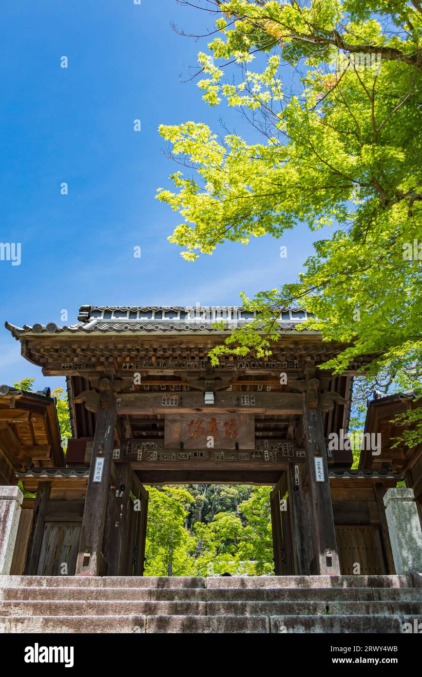 Izu Shuzenji Temple, renovated in 2014, with a clear blue sky Stock ...