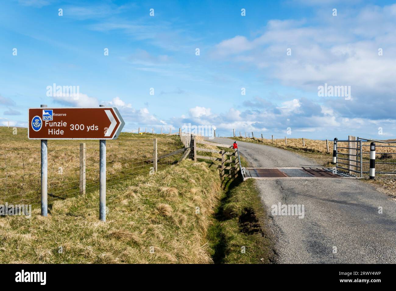 Funzie bird hide hi-res stock photography and images - Alamy