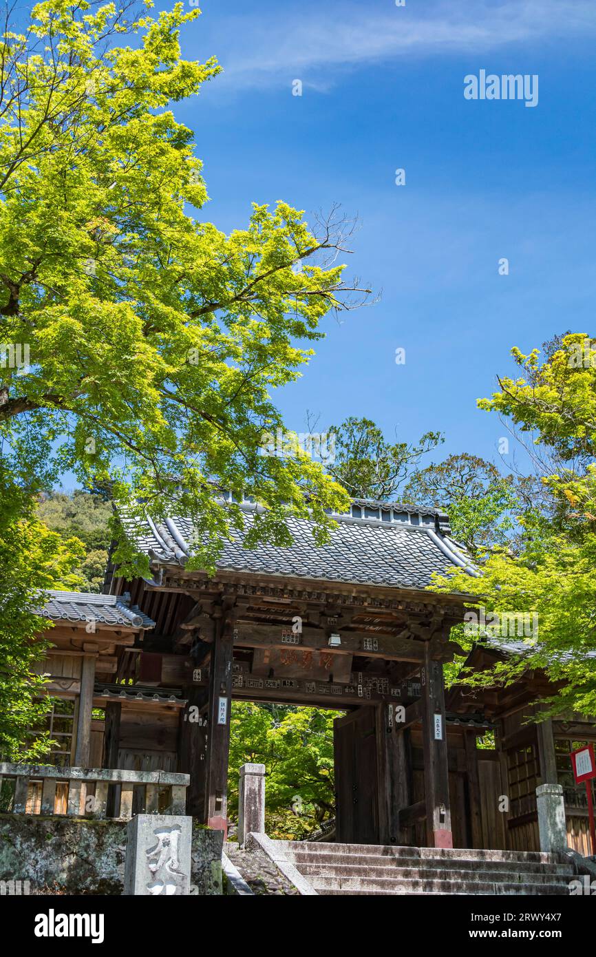Izu Shuzenji Temple, renovated in 2014, with a clear blue sky Stock ...