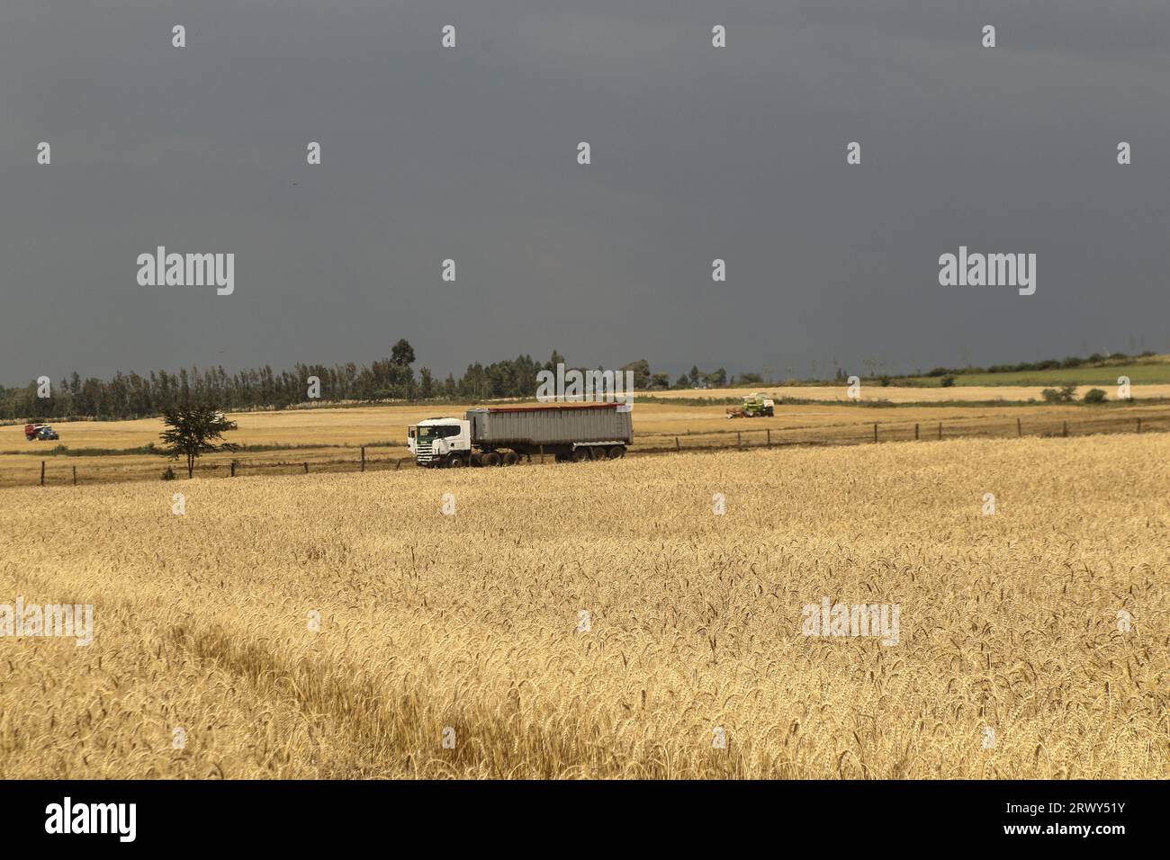 Rongai hi-res stock photography and images - Alamy