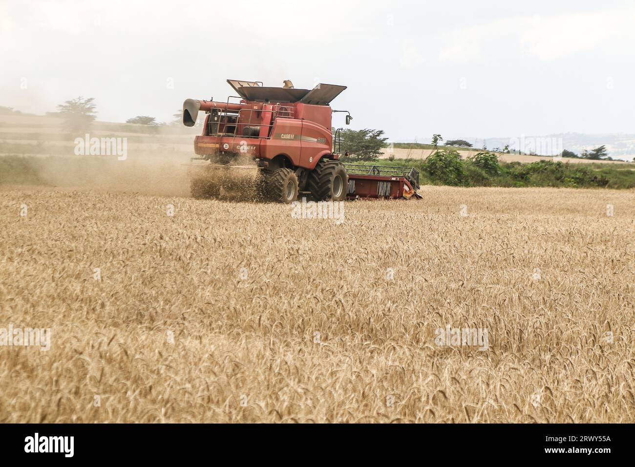 Grain hub hi-res stock photography and images - Alamy