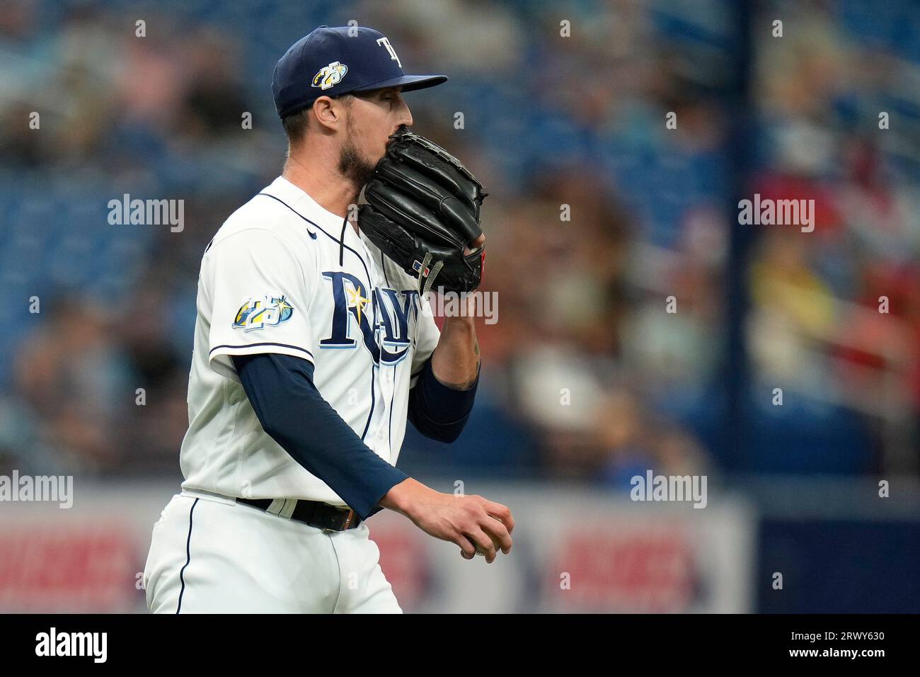 Tampa Bay Rays relief pitcher Shawn Armstrong reacts after giving up a ...