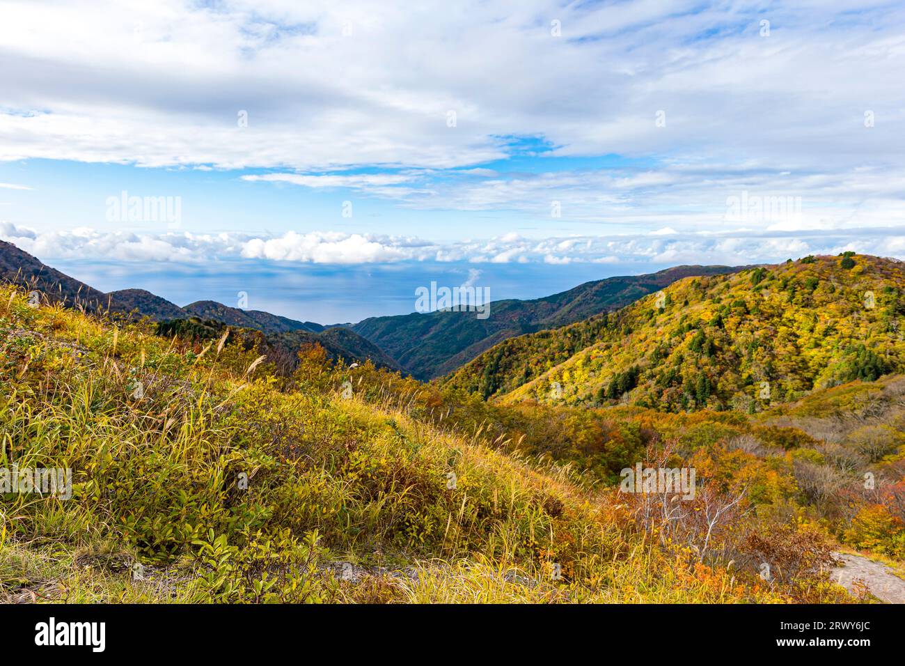 Osado skyline hi-res stock photography and images - Alamy