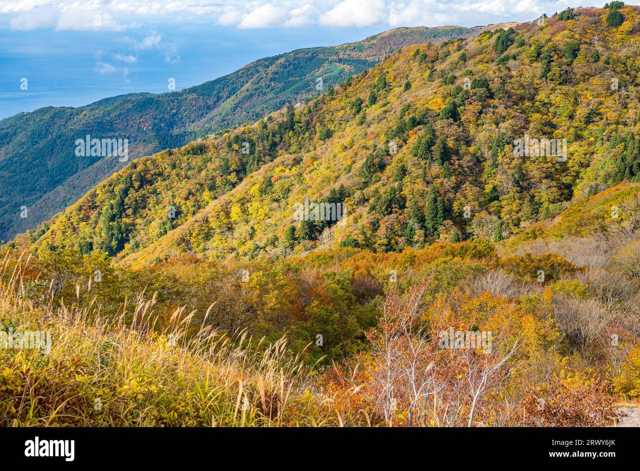 Osado skyline hi-res stock photography and images - Alamy