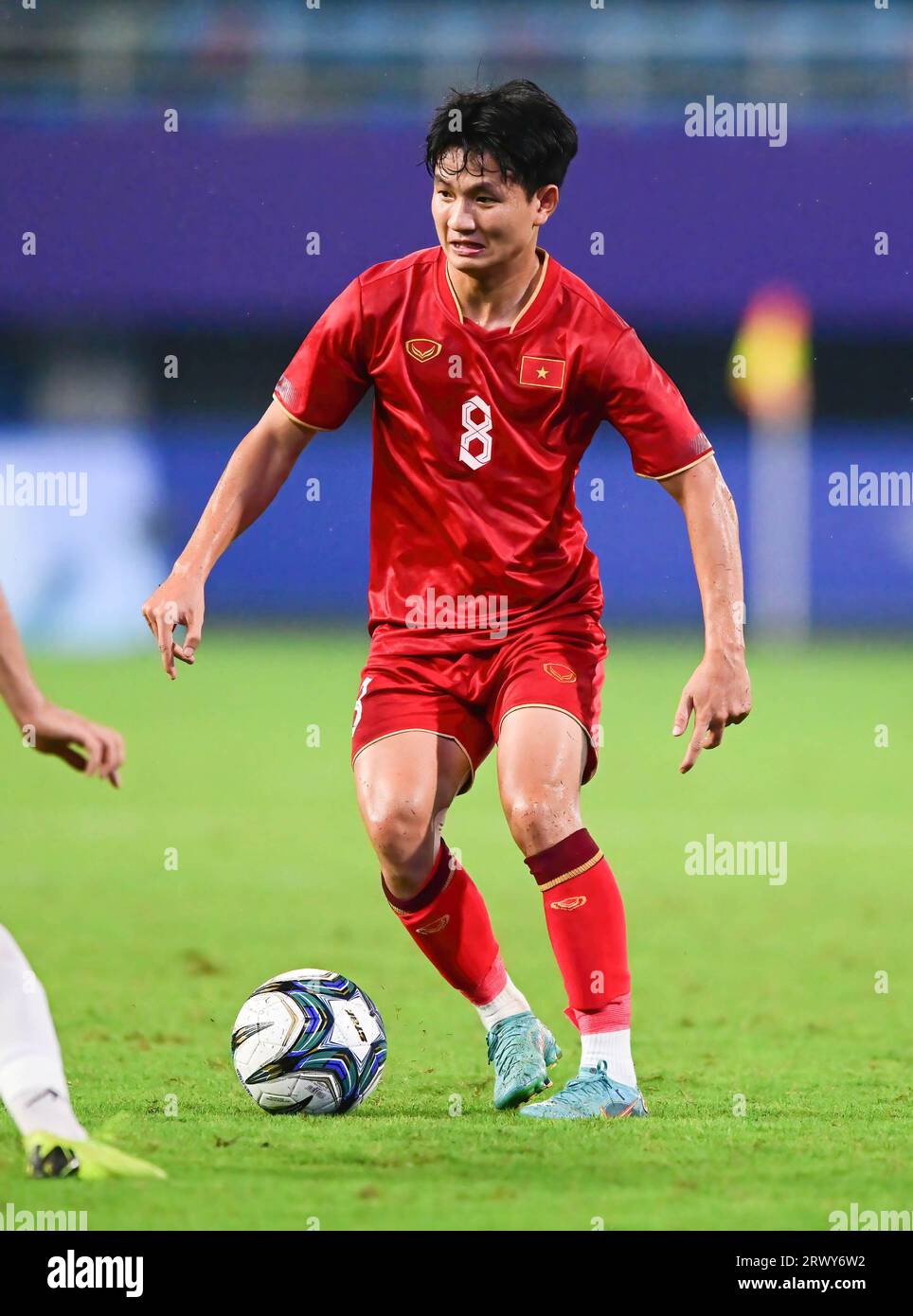 Duc phu nguyen hi-res stock photography and images - Alamy