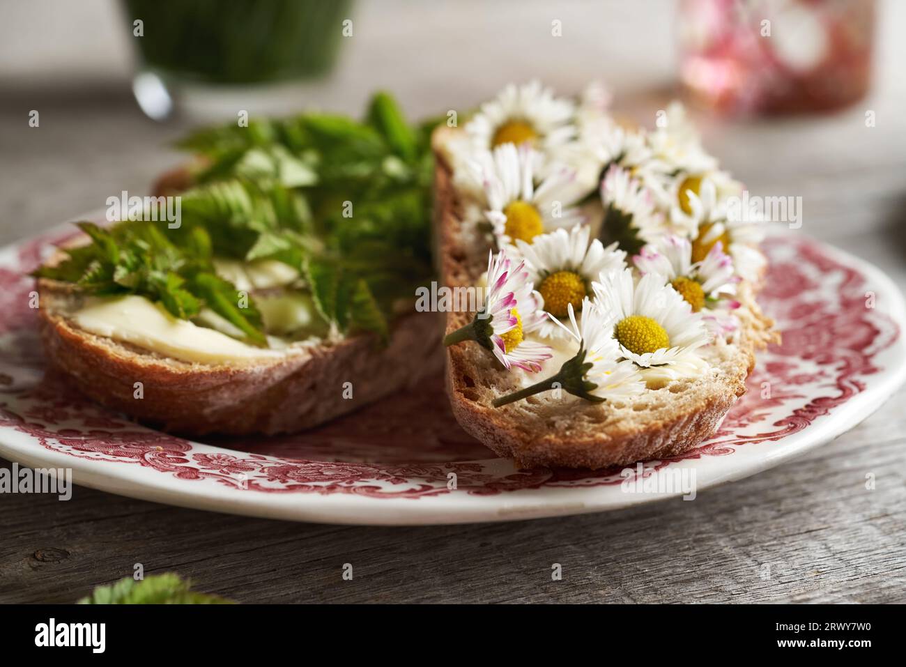 Two slices of sourdough bread with spring wild edible plants - common ...