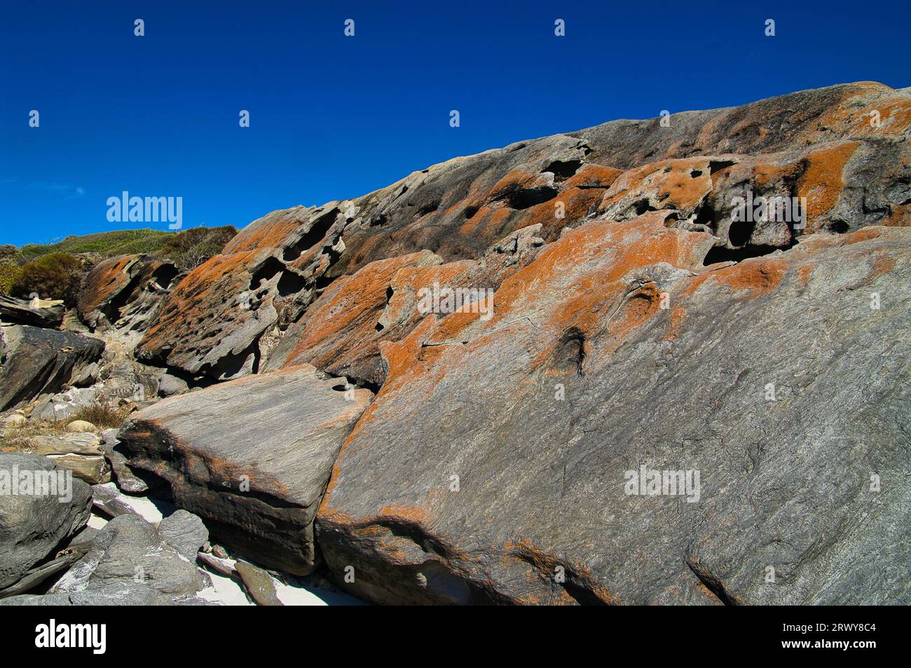 Eroded rocks, covered with orange-brown lichen, at the remote coast of ...