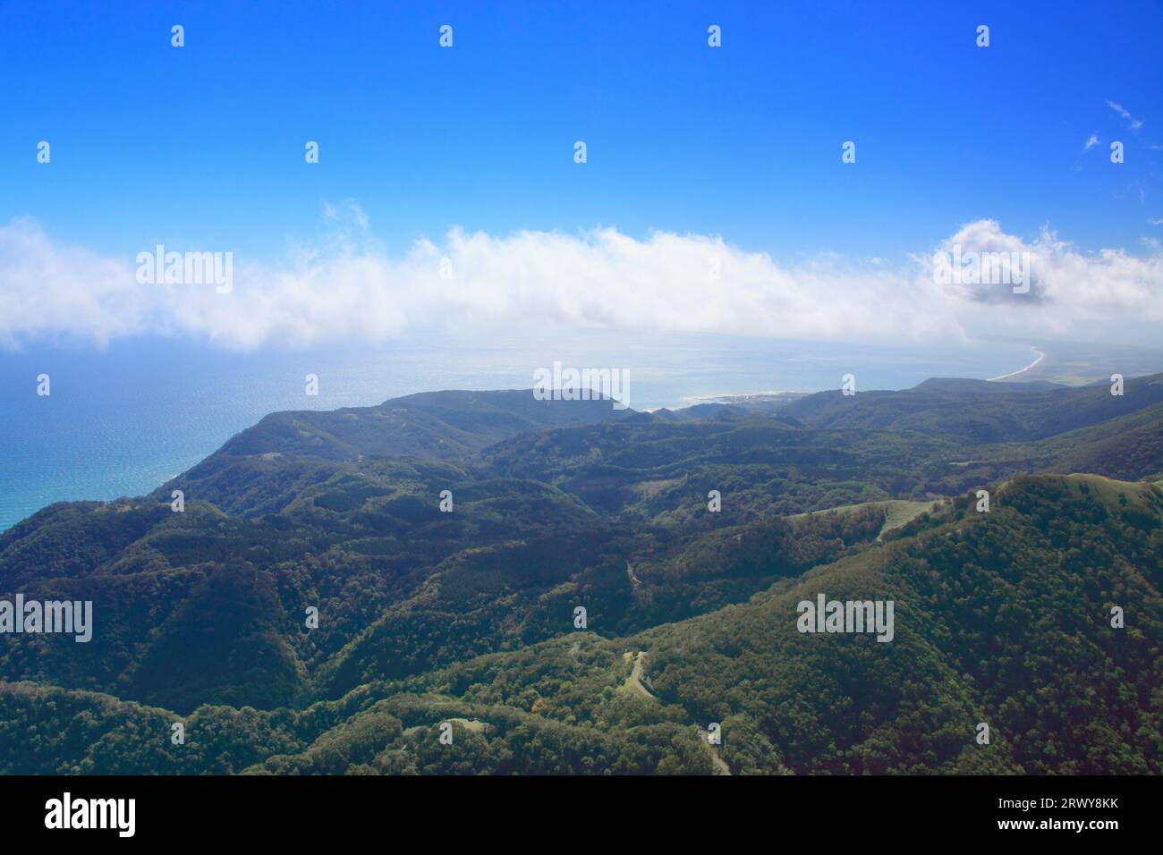 Toyoniko hi-res stock photography and images - Alamy